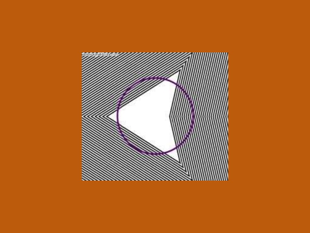 TOK Sense Perception Presentation | PPT