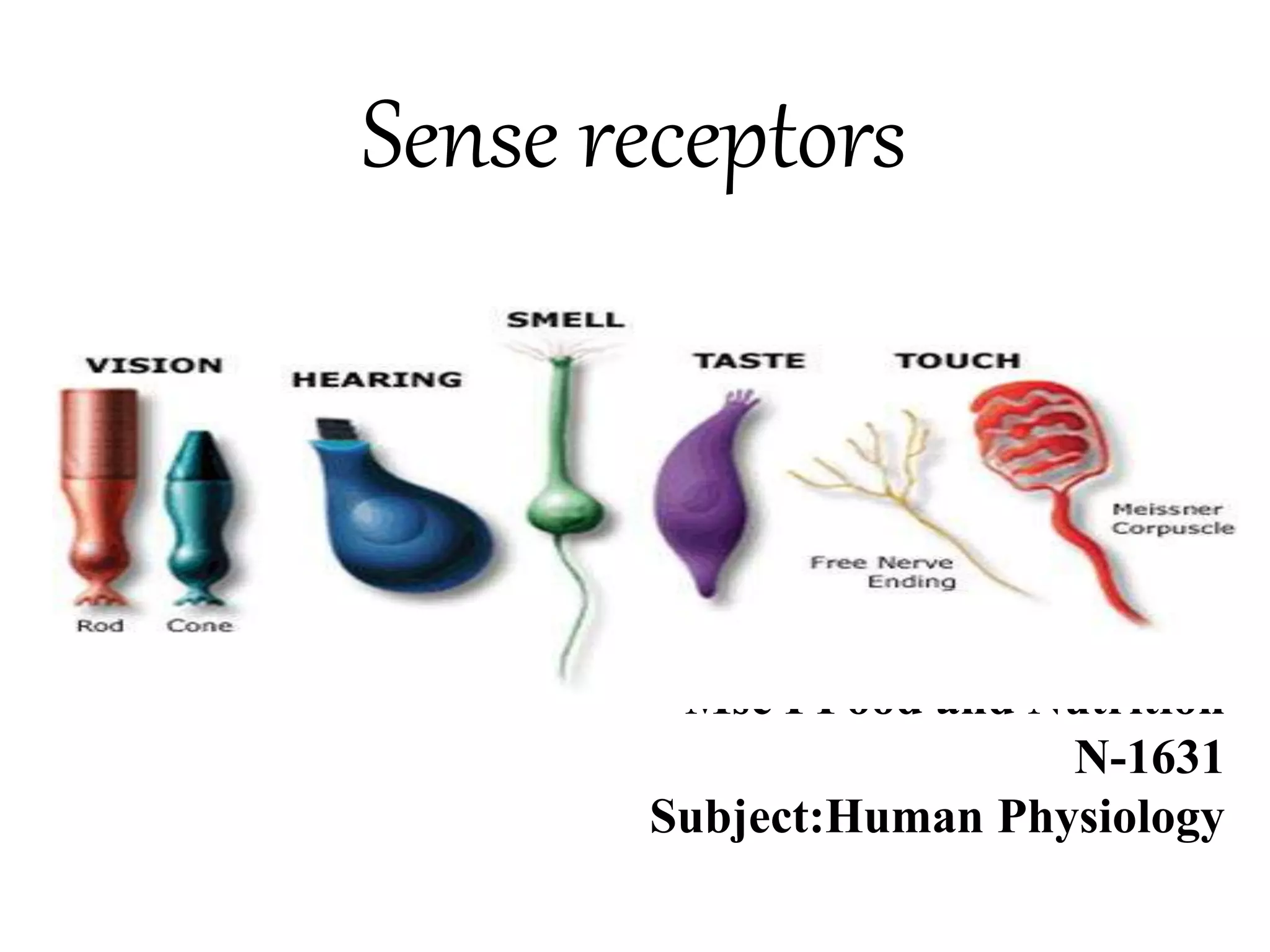 Sense receptors | PPTX