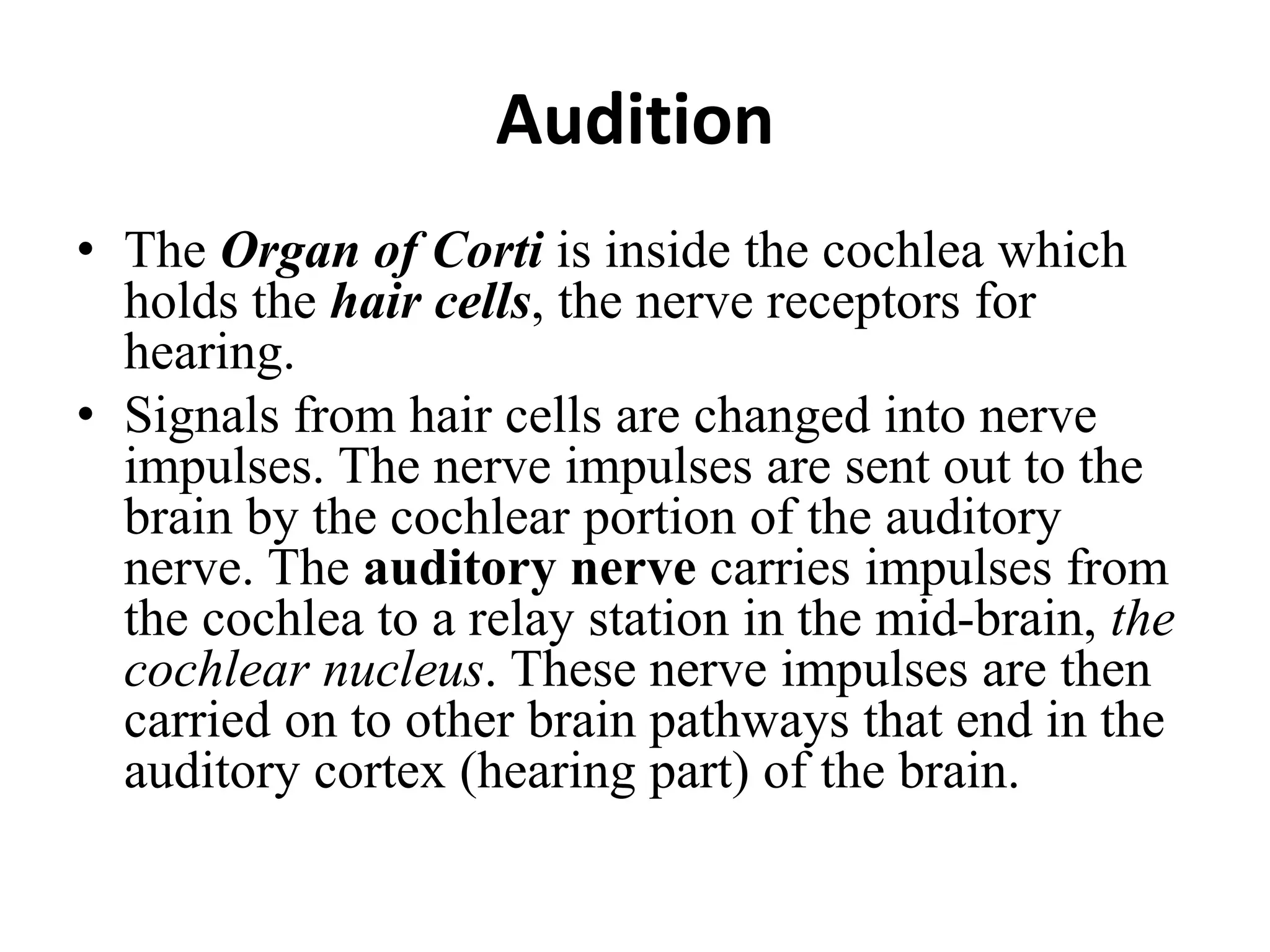 Sense receptors | PPTX