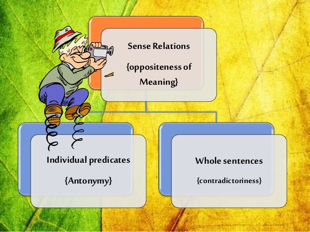 Sense relations 2