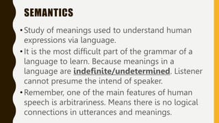 Sense Relation & Semantic | PPTX