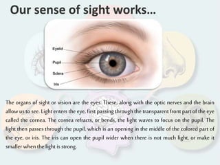 5 Senses - How our senses work | PPTX