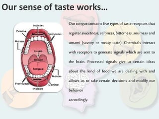 5 Senses - How our senses work | PPTX