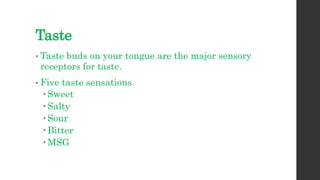 Senses | PPT