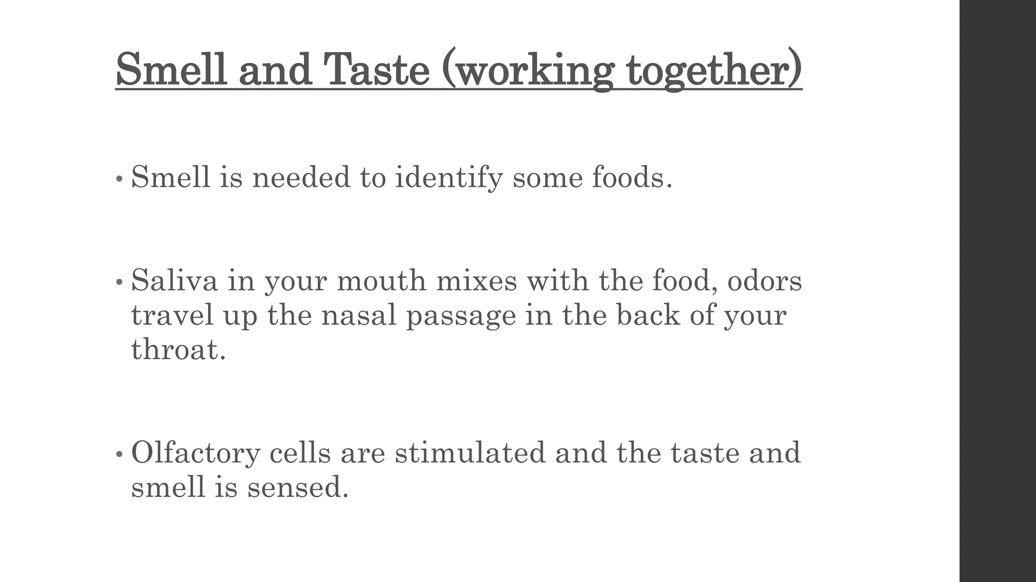 Senses | PPTX