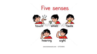 Senses | PPTX