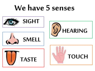 Presentation of the senses for Primary Students. Natural Science. | PPT