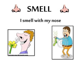 Presentation of the senses for Primary Students. Natural Science. | PPT