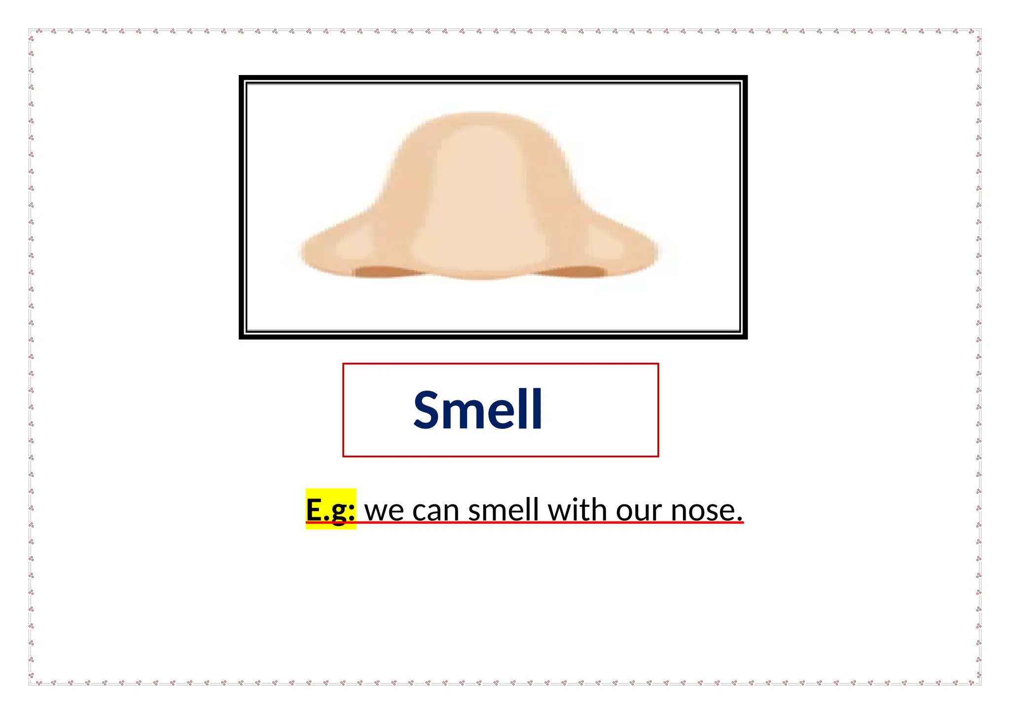 Five Senses Flashcards | PPT