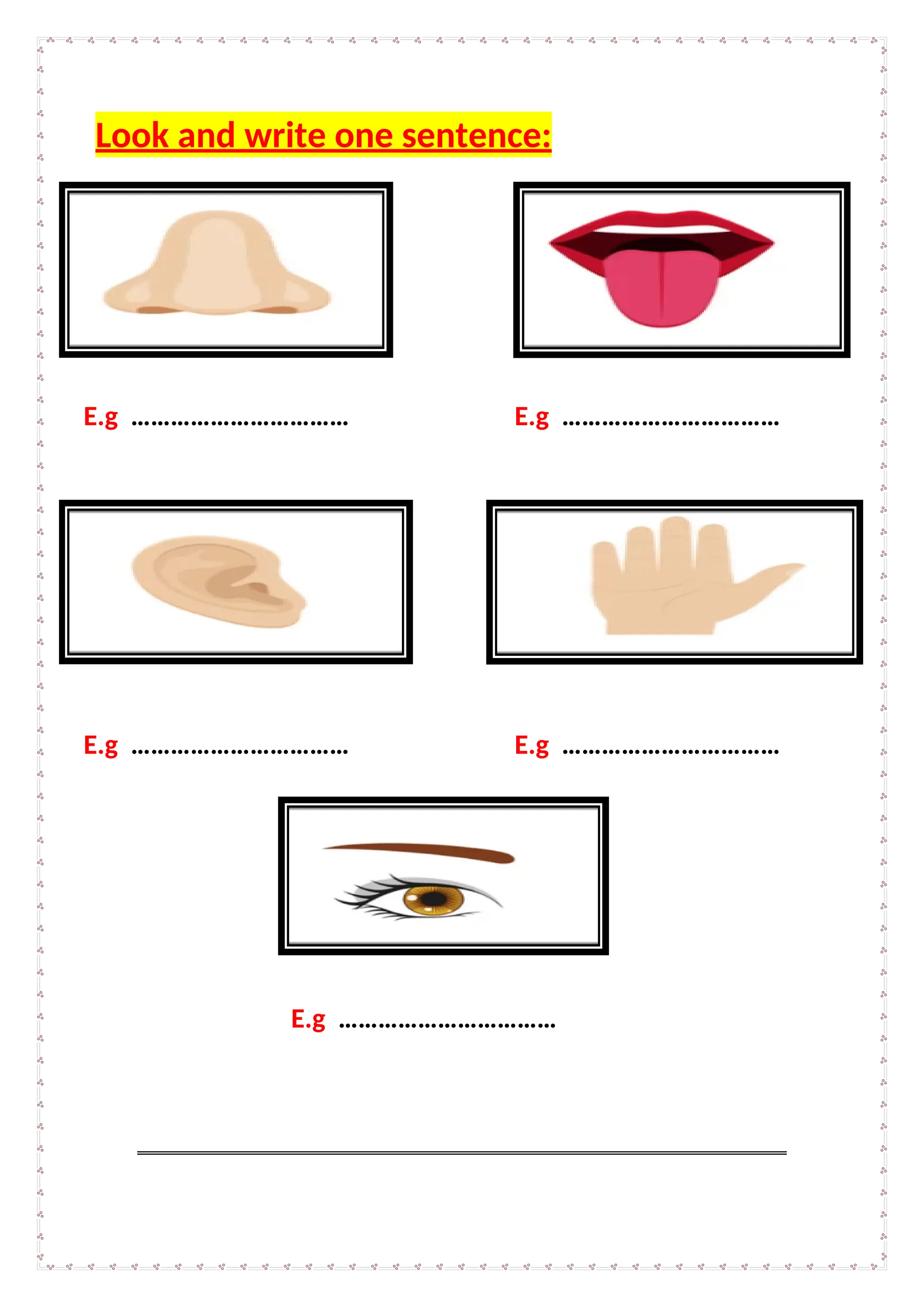 Five Senses Flashcards | PPT