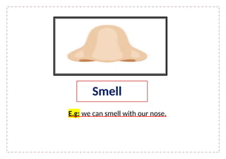 Five Senses Flashcards | PPT