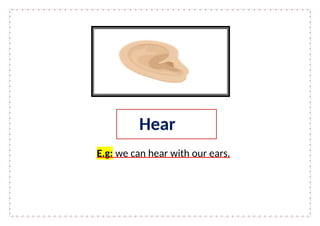 Five Senses Flashcards | PPT