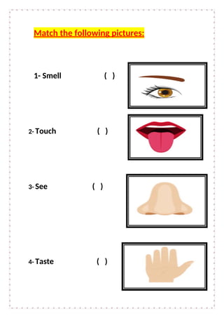 Five Senses Flashcards | PPT