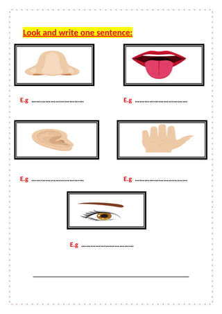 Five Senses Flashcards | PPT