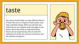 senses organs ppt.pptx how to learn senses for kids | PPTX