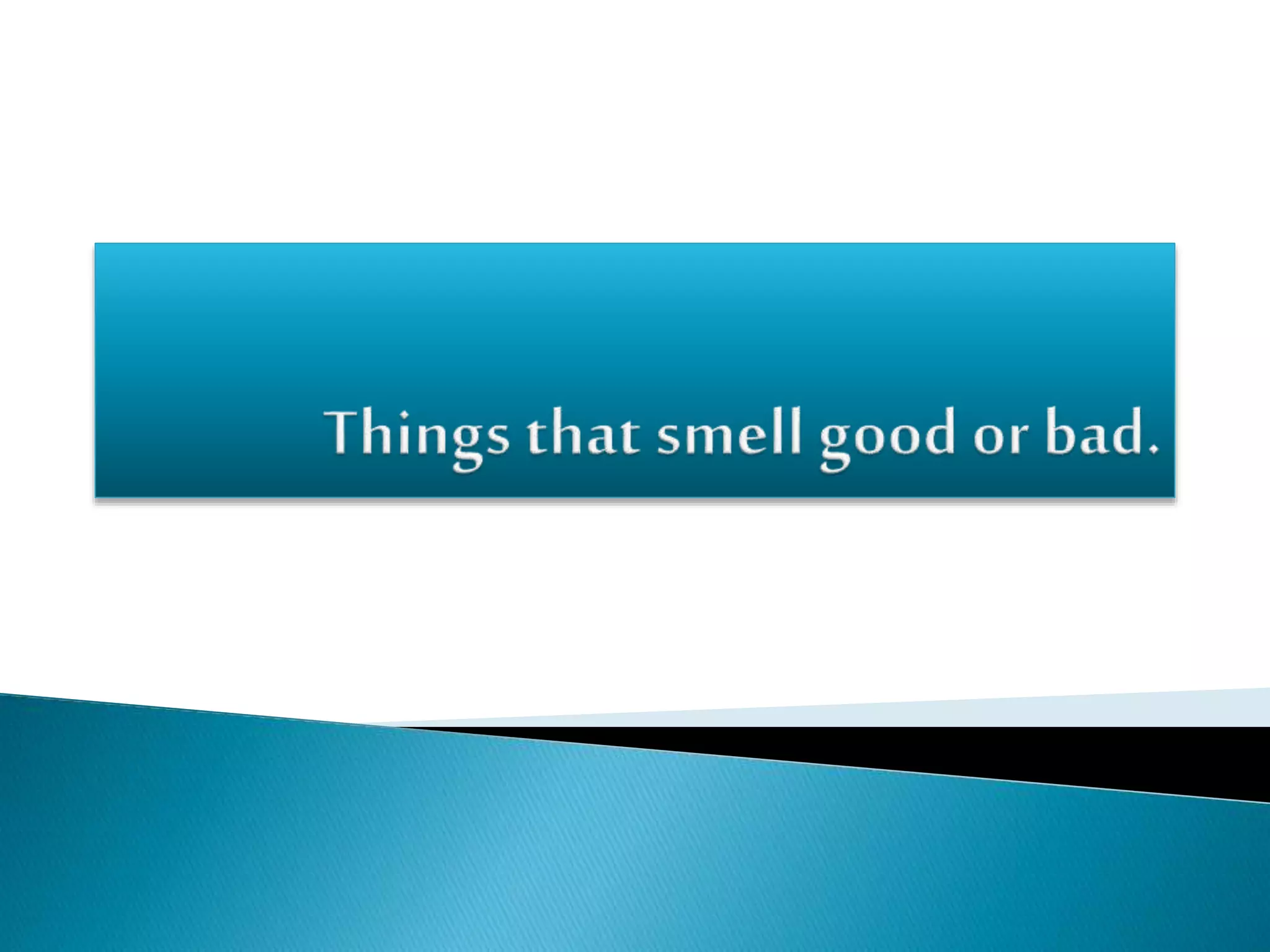 Senses smell good bad | PPTX
