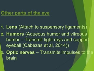 sense vision.pptx