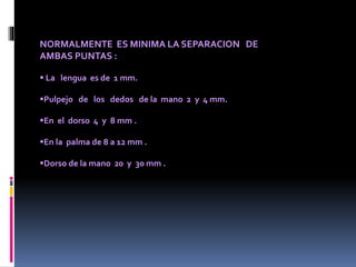 exploracion de la Sensibilidad | PPTX