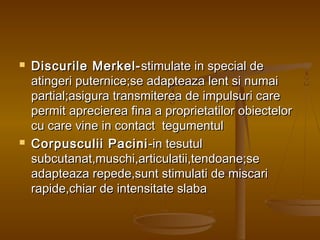 Sensibilitatea somestezica-la-vertebrate | PPT