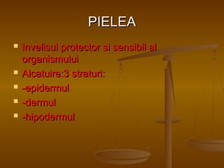 Sensibilitatea somestezica-la-vertebrate | PPT