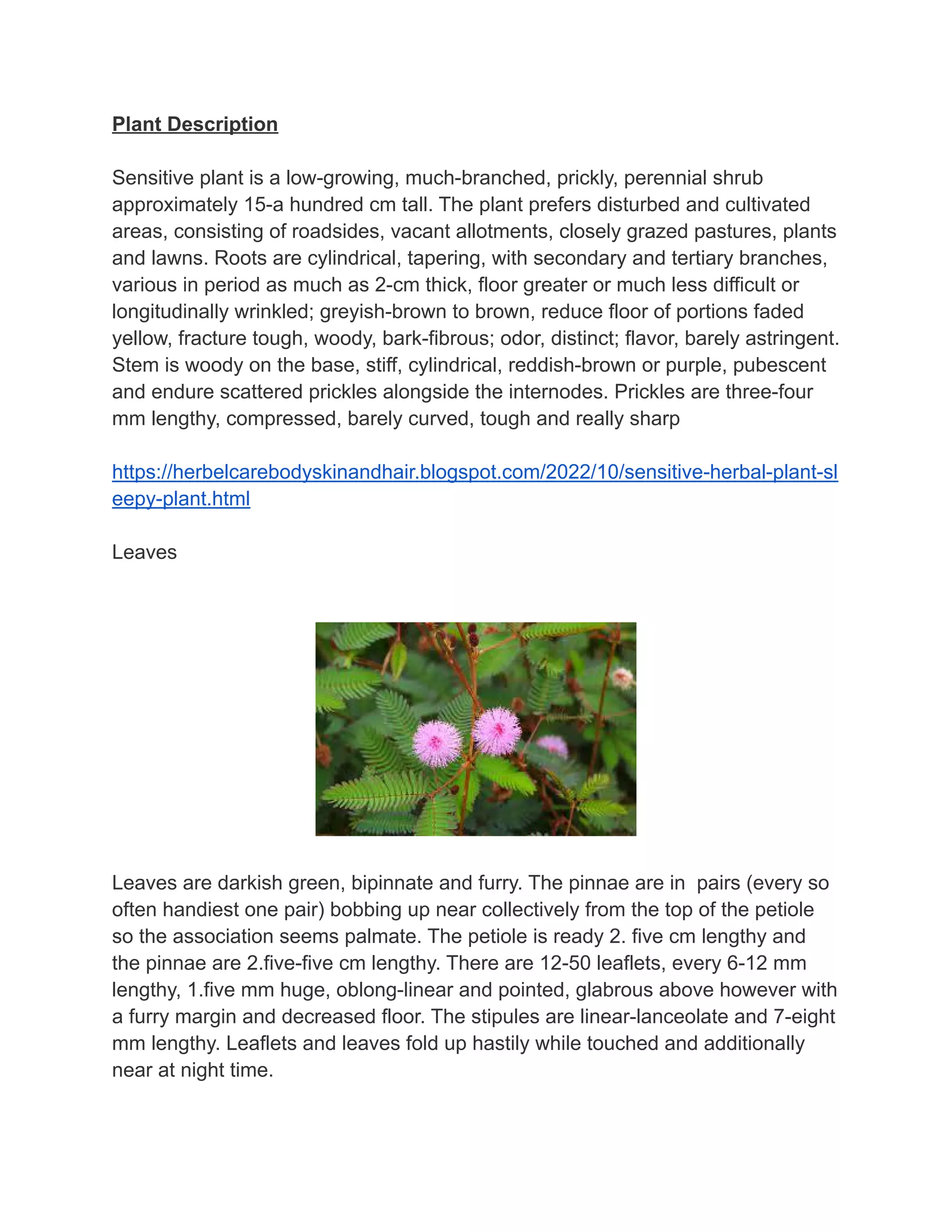 SENSITIVE HERBAL PLANT _ SLEEPY PLANT THOTTA SINUKI (TOUCH ME NOT ...