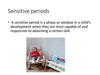 Sensitive period | PPT