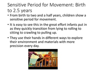 Sensitive period | PPT