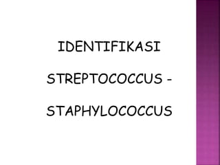 Sensitivitas tes, pewarnaan bta & Identifikasi strepto staphylo | PPTX
