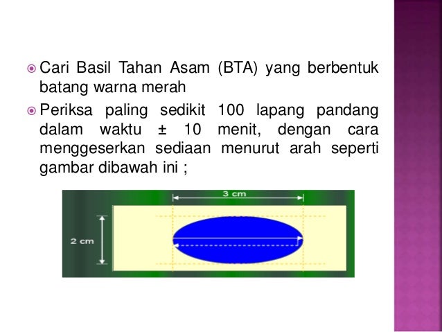 Sensitivitas tes, pewarnaan bta & Identifikasi strepto staphylo