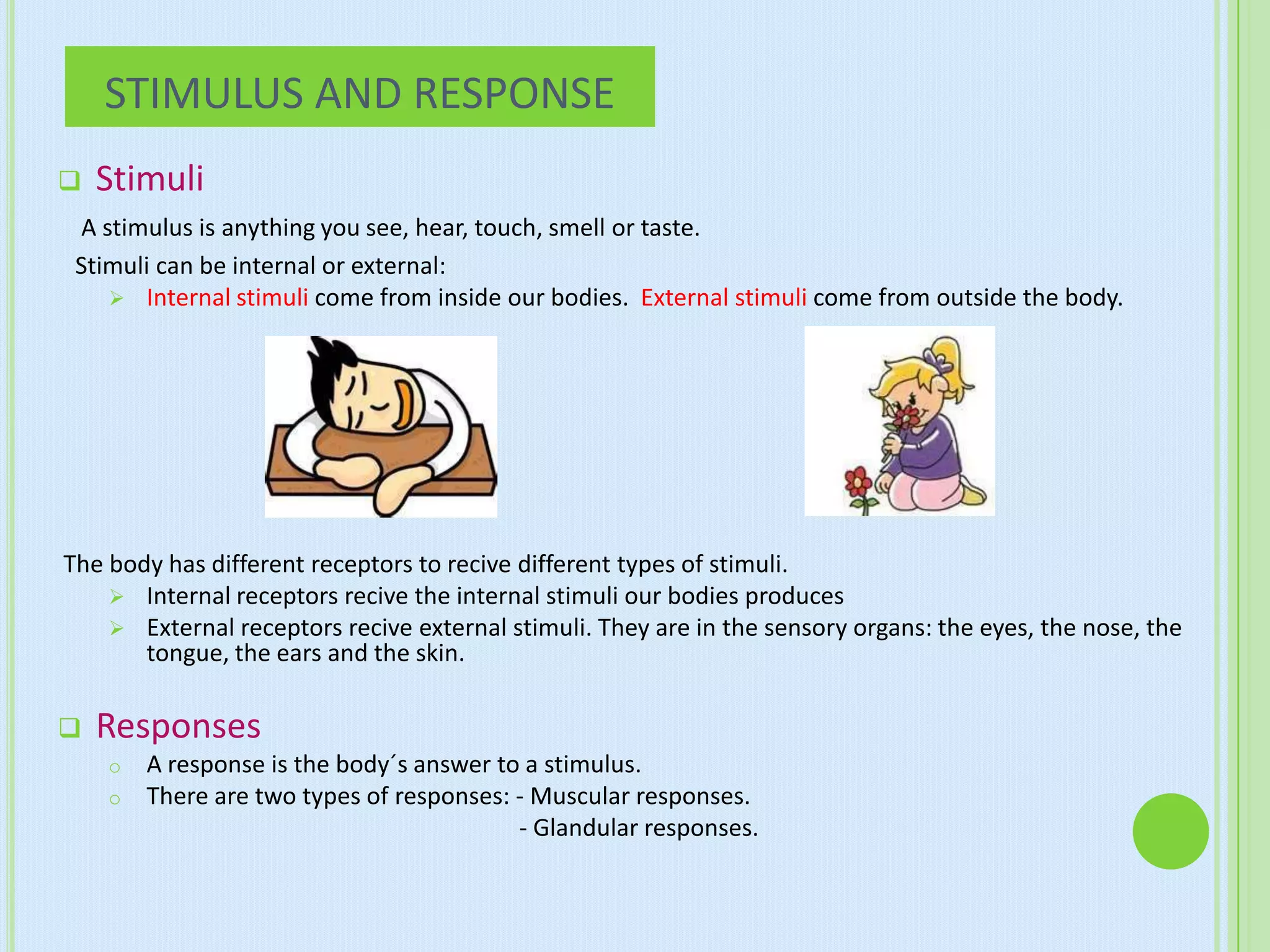 Sensitivity and Coordination by Marcos | PPSX