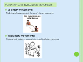 Sensitivity and Coordination by Marcos | PPSX