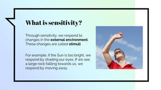Sensitivity and reproduction | PPT
