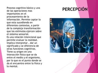 Senso-percepcion | PPTX