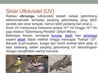 sensor-cahaya-pengertiab karakteristik dan fungsi | PPT