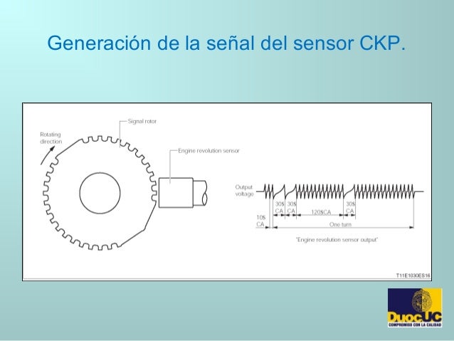 Sensores