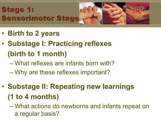 Piagets Sensorimotor Stages
