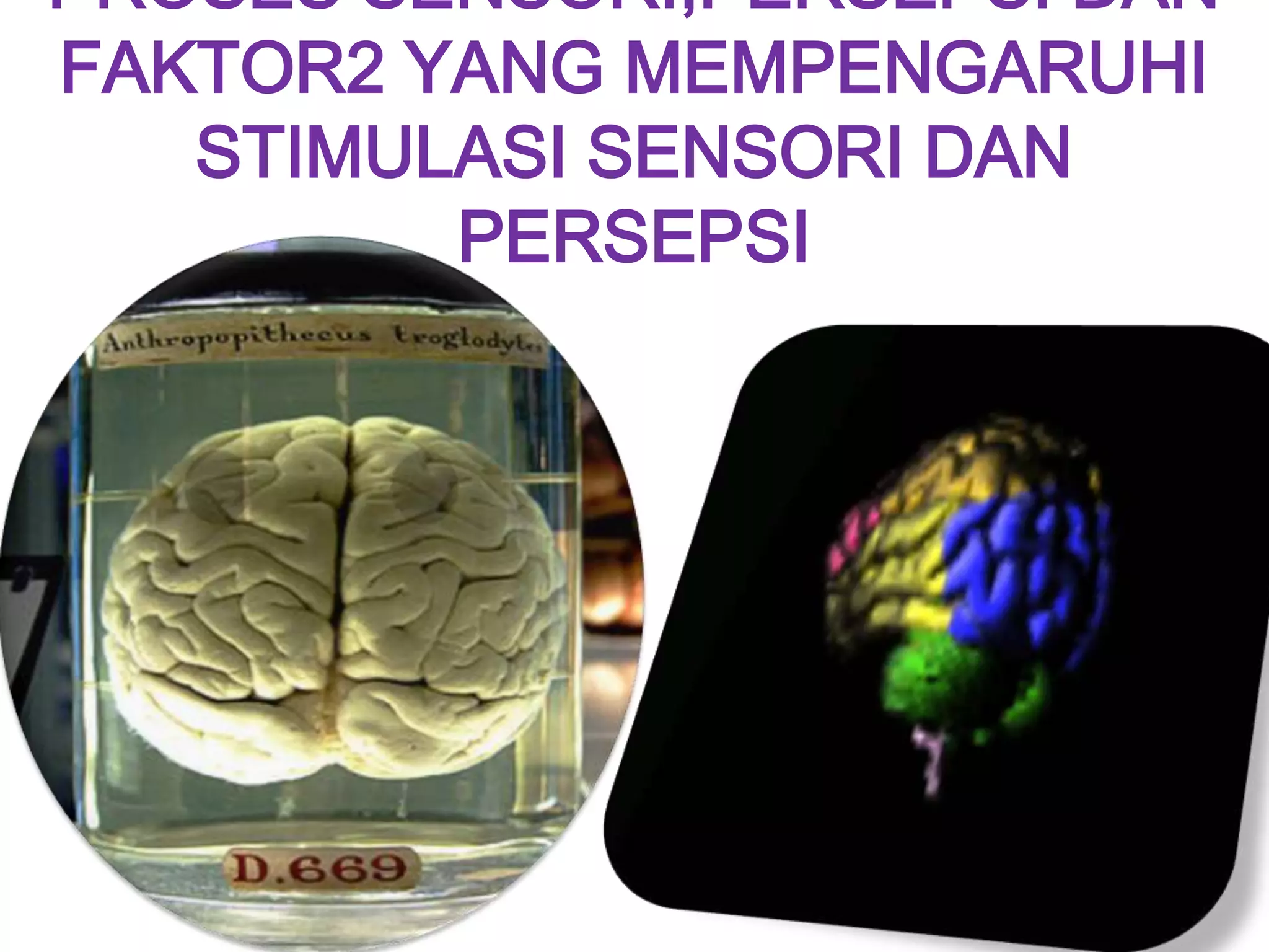 Sensori persepsi | PPTX