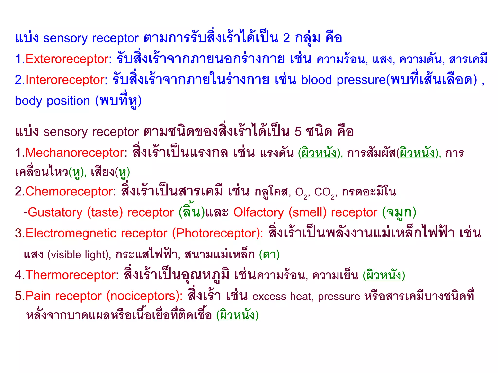 รื่องSensory and-motor-mechanismน้องๆสามารถศึกษาข้อมูลเพิ่มเติมได้ที่ ...