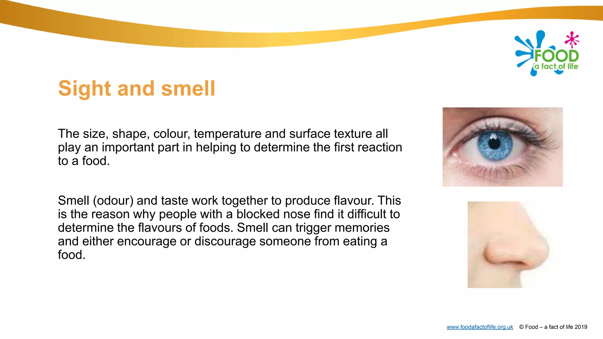 sensory-evalaution-ppt-1114c2.pptx