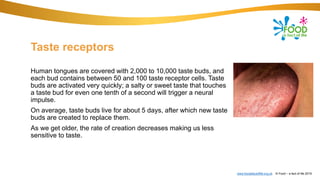sensory-evalaution-ppt-1114c2.pptx | Food & Drink