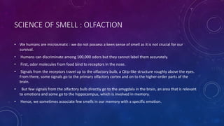 SENSORY-EVALUATION.pptx