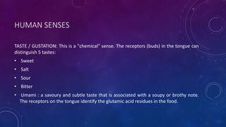 SENSORY-EVALUATION.pptx