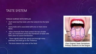 SENSORY-EVALUATION (1).pptx