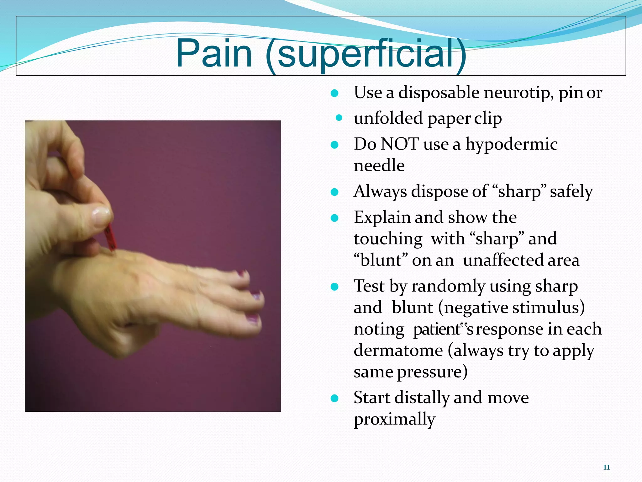 sensory-examination.pdf