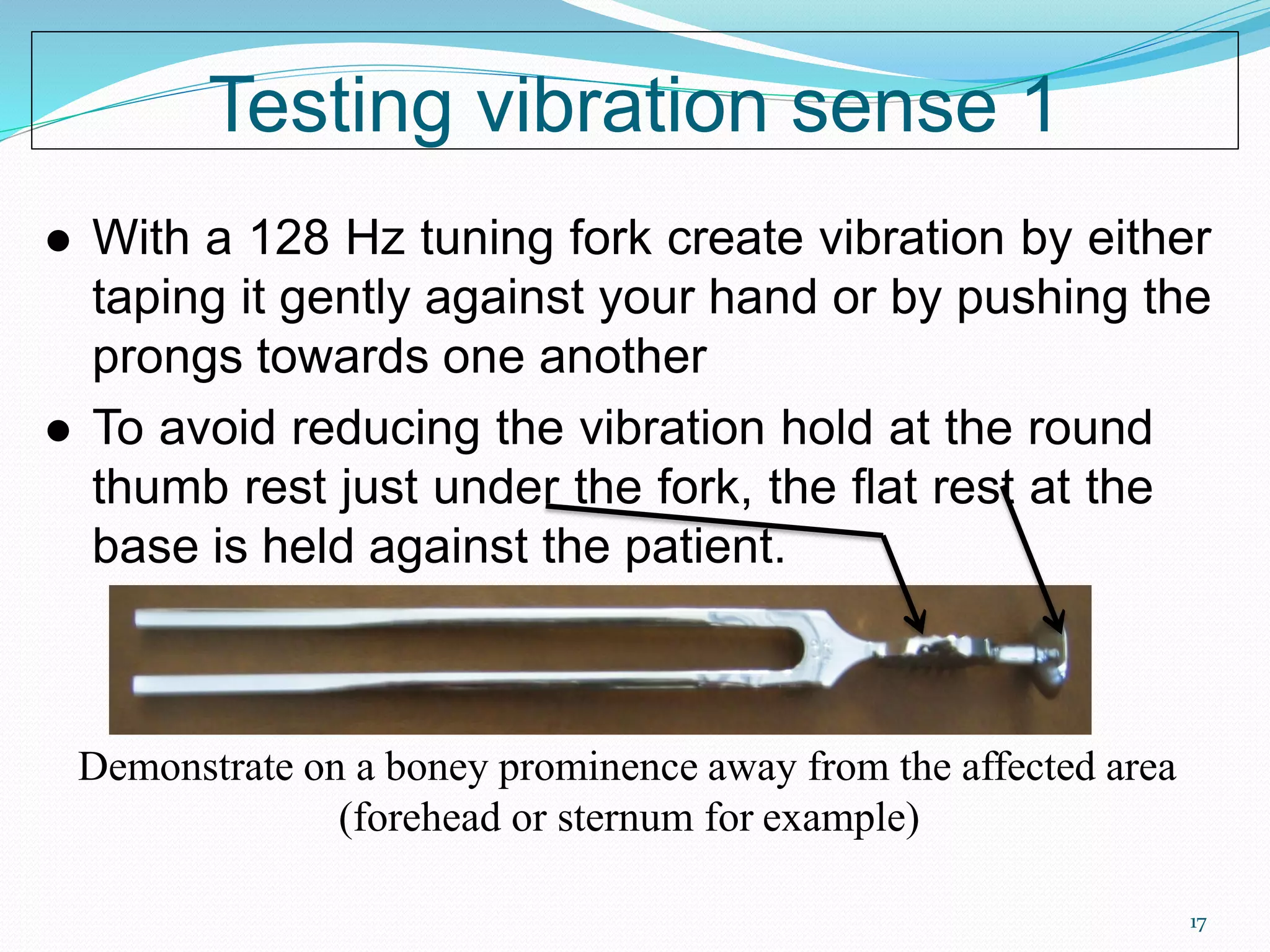 sensory-examination.pdf