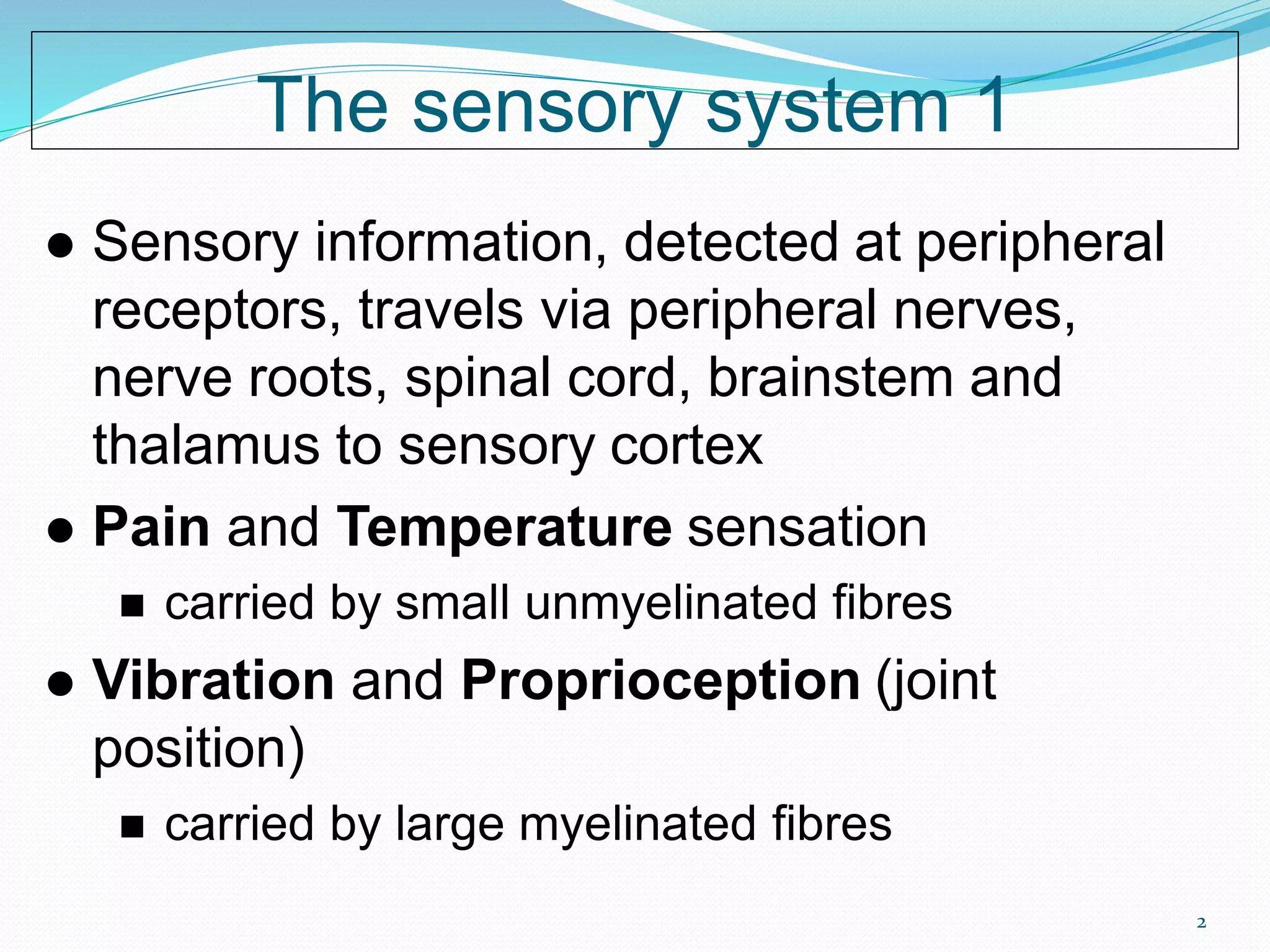 sensory-examination.pdf
