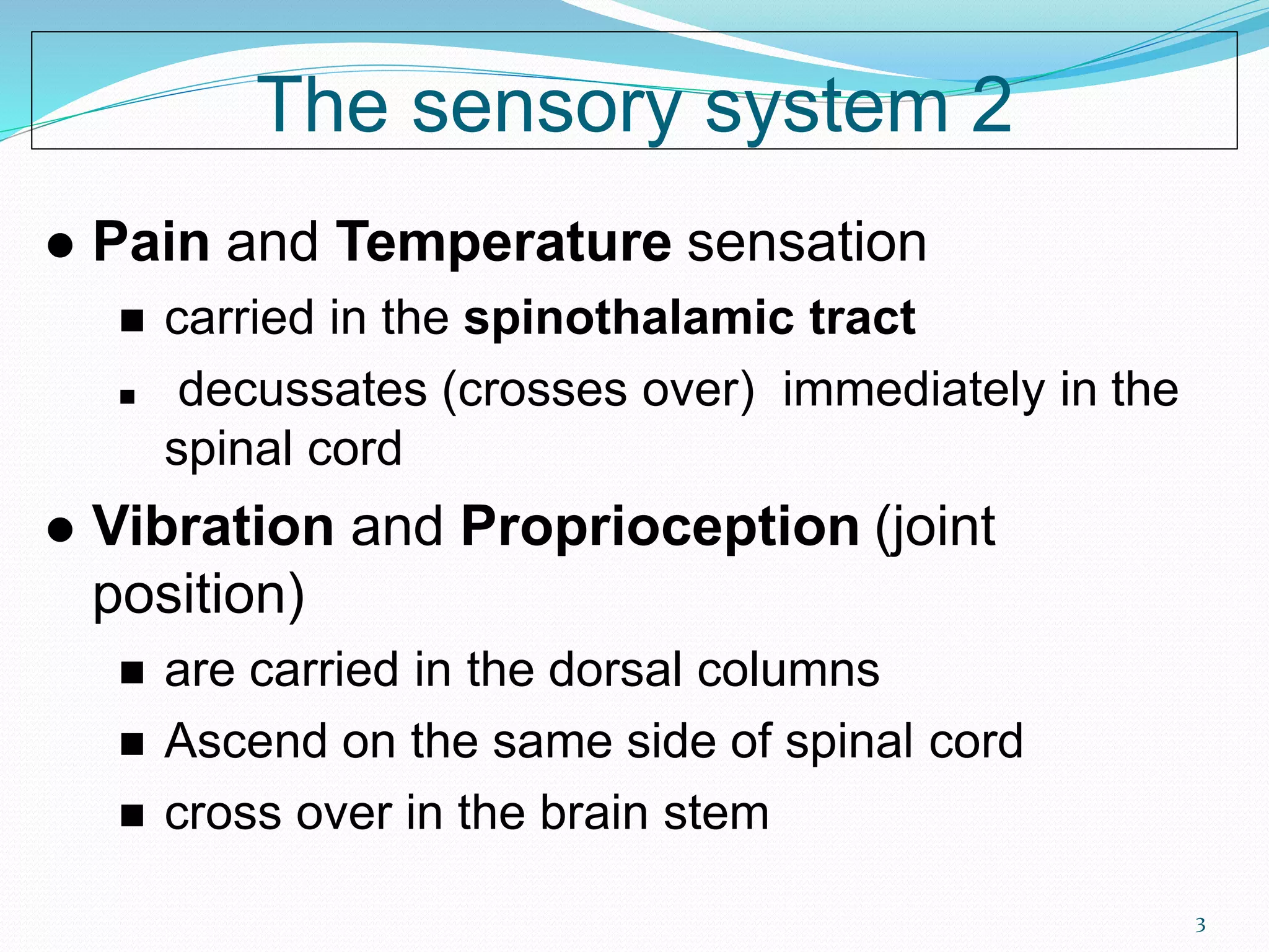 sensory-examination.pdf