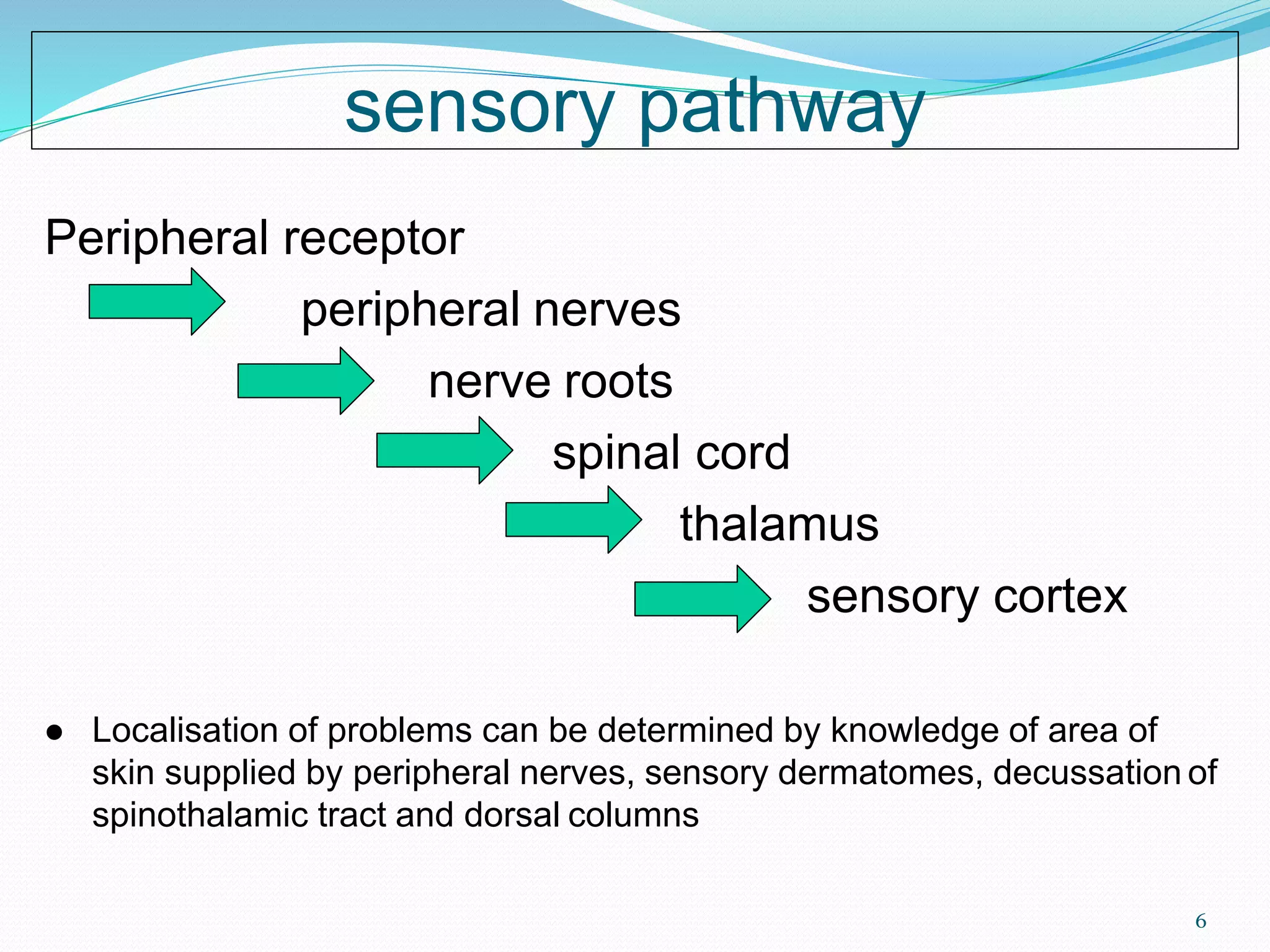 sensory-examination.pdf