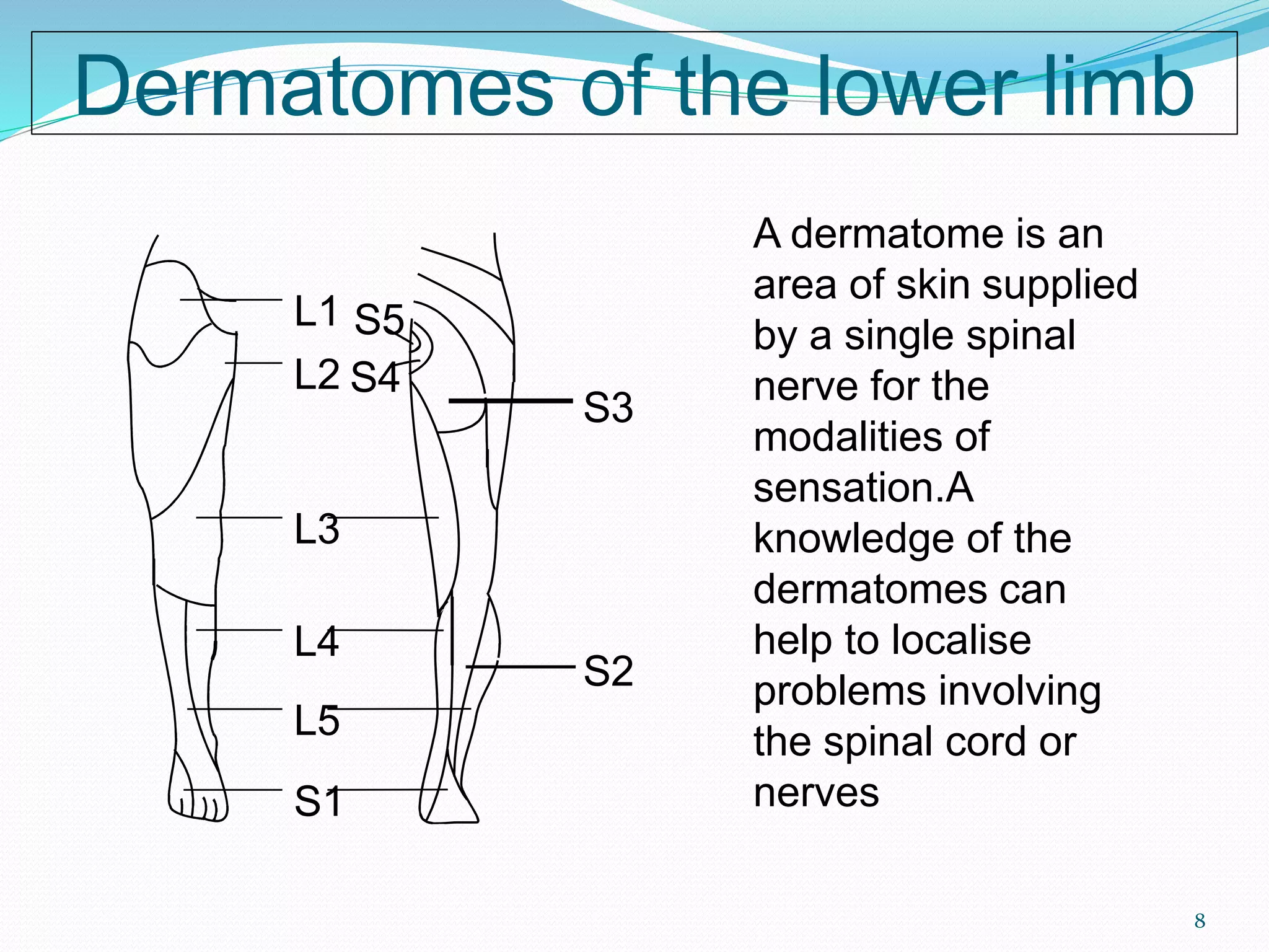 sensory-examination.pdf