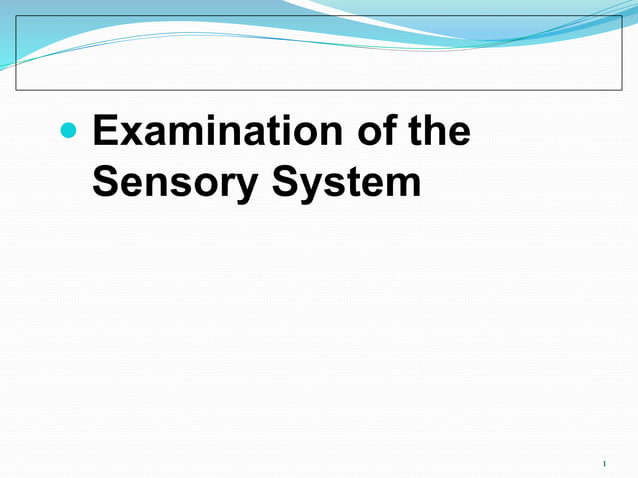 sensory-examination.pdf